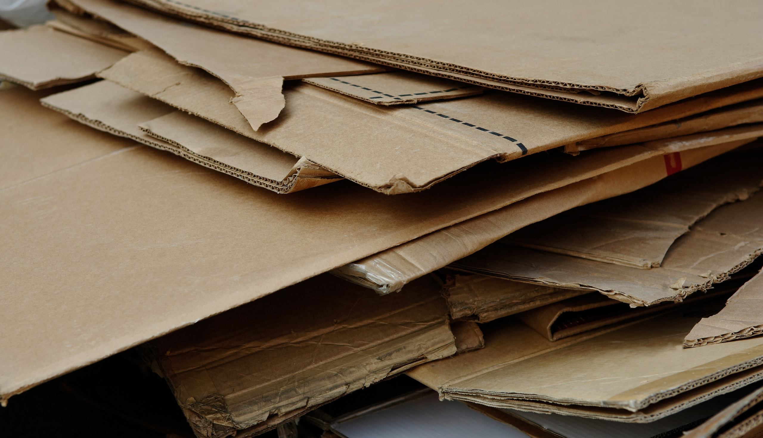 ReMA Develops New Connections at Second ASEAN Pulp & Paper Summit in Vietnam - Recycled ...